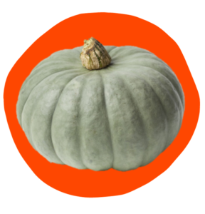 Bel Go Bio – De bons légumes Bio de Hesbaye